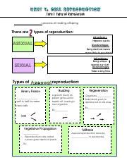 Types Of Cell Reproduction Asexual Vs Sexual Reproduction Course Hero