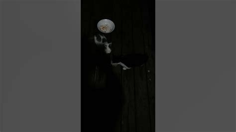 영상이 즐거우셨다면 구독 버튼~ 꾹 눌러주세요~ 화이팅~~ Youtube