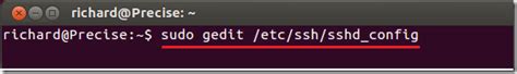 Enable Ssh Secure Shell In Ubuntu 1204 Precise Pangolin Liberian Geek
