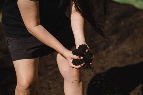 Anne Riley Installs Dark Matter Garden Agnes Etherington Art Centre