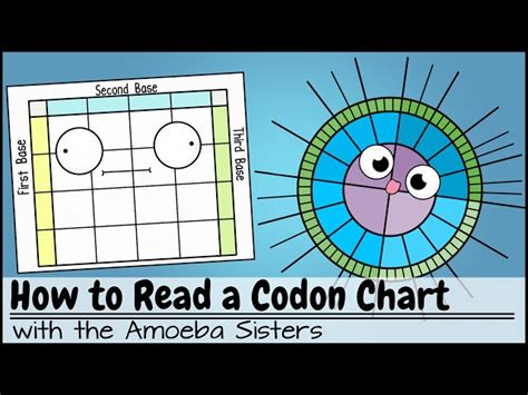 How To Read A Codon Chart Atelier Yuwa Ciao Jp