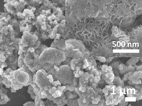 Preparation Method And Application Of Nitrogen Containing Conjugated Microporous Polymer Network