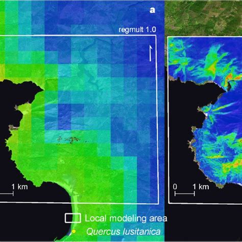 Detailed Map Of The Predictions Of Maxent Species Distribution Models