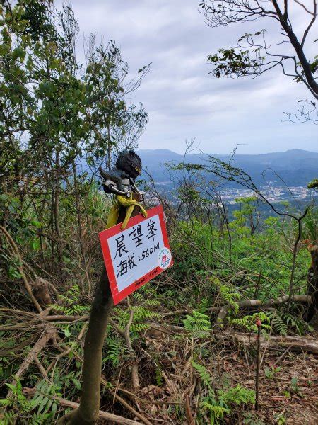 展望峰耳空龜山四分尾山小坑頭鵠鵠崙O走 健行筆記