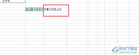Wps表格超出单元格的文字看不见怎么办？ Wps表格中文字超出单元格被遮挡起来的显示方法 极光下载站