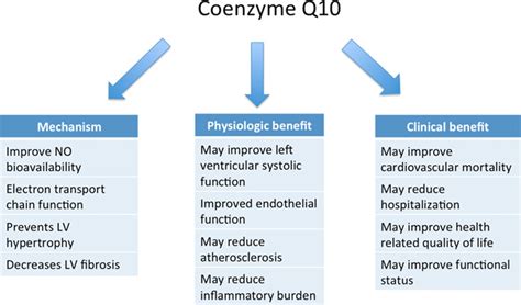 Coenzyme Q Structure Of Oxidized
