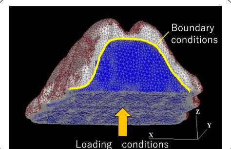 loading conditions and boundary conditions download scientific diagram