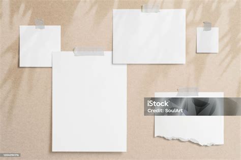 빈 사진 카드 찢어진 종이 그래픽 디자이너 프리젠 테이션 포트폴리오 등을위한 템플릿으로 꽃 오버레이 그림자와 밝은 종이 배경에