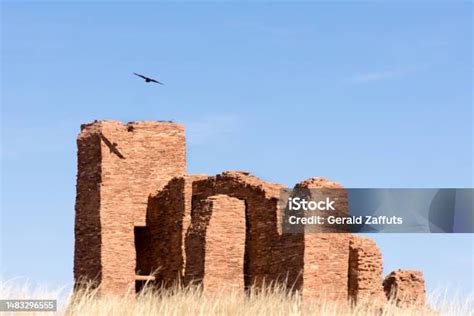 고독하게 솟아오르는 까마귀가 아보 유적의 탑에 그림자를 드리우고 있다 햇살이 가득하고 푸른 하늘 0명에 대한 스톡 사진 및 기타 이미지 Istock