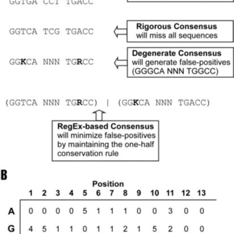 Strategy Used To Predict Potential Targets Of Transcription Factors