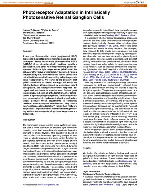 Photoreceptor Adaptation In Intrinsically Photosensitive Retinal