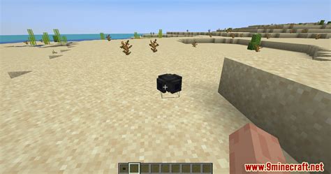 Chunk Loaders Mod Minecraft