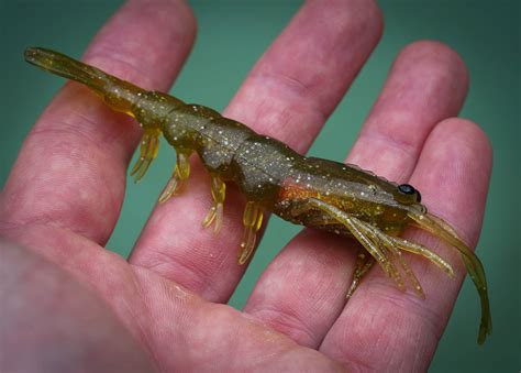 Pro Lure Clone Prawn 62mm Tacklewest
