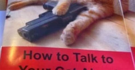Its Time We Had That Talk With Mr Kitteh Imgur