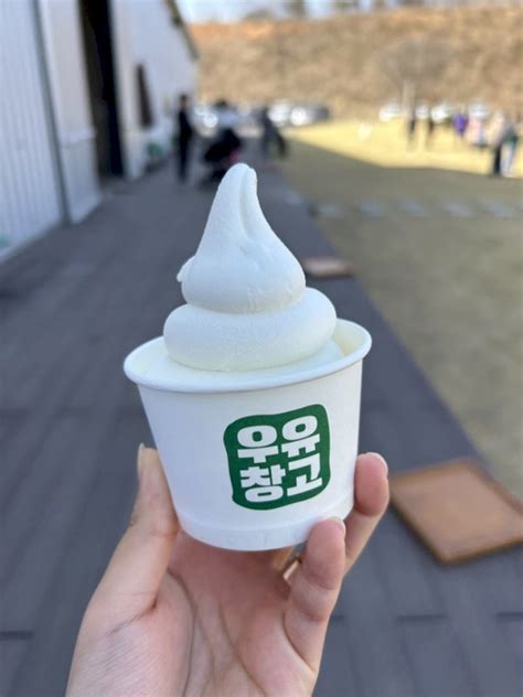 반려생활 애견동반보령여행 신선한 우유를 맛볼 수 있는 곳 보령 천북 우유창고