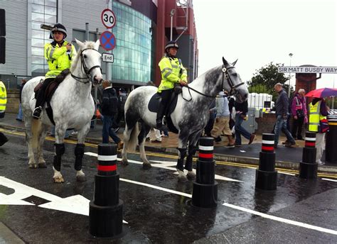 Bolarzi Retractabili Bariere