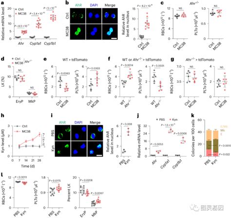 Nat Immu 华中科大，北大，郑大团队发现肿瘤导致血小板增多和红细胞减少机制 知乎