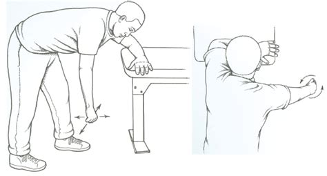 Shoulder Joint Anatomy Glenohumeral Movement Function