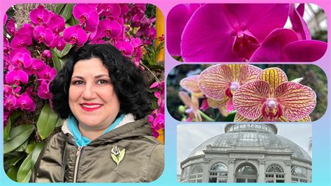 Из февраля в тропики на шоу орхидей Дневник Анны Франк Делюсь впечатлениями от спектакля