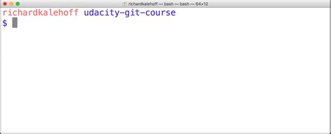 Version Control With Git Lesson 2 Create A Git Repo Blackpaper