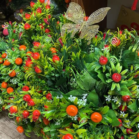 ტოტები 5 ლარი Feng Shui ფენ შუი