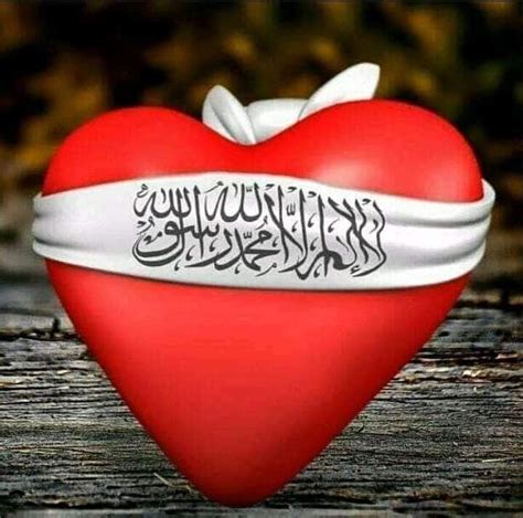 Nafeesa Hasnat Posted On Linkedin