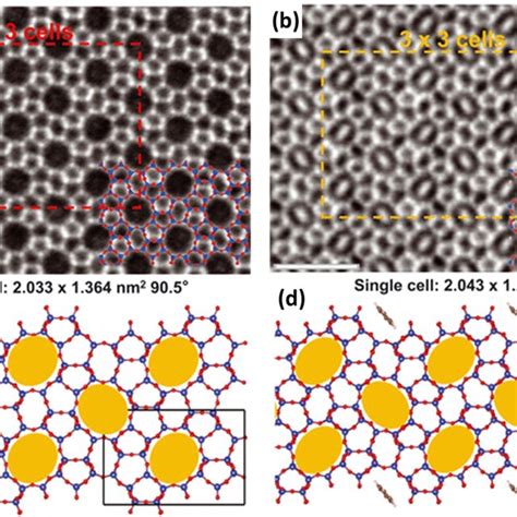 Integrated Differential Phase Contrast Scanning Transmission Electron Download Scientific