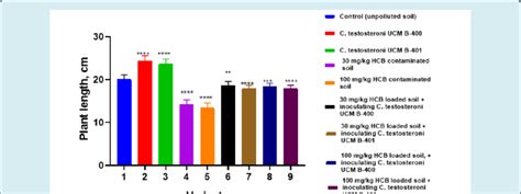 Effect On Plant Length After Growing In Soil With Comamonas