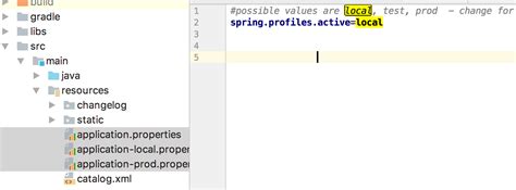 Loading Spring Env Properties In Intellij 20163 Stack Overflow