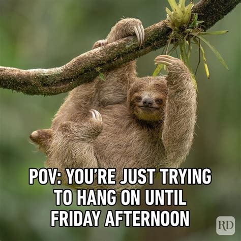 Comic Friday Memes Good Morning Team Its Friday 100 Funny Friday