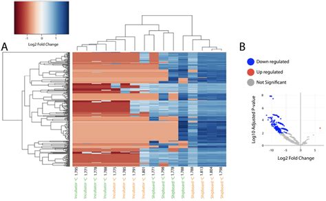 heatmap a showing the 233 ko annotated genes that were differentially