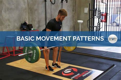 Basic Movement Patterns Science For Sport