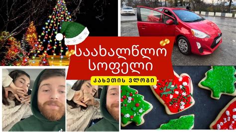 კახეთის ვლოგი ⭐️ ჩემი ეზო 🎄🎊⭐️💖 Youtube