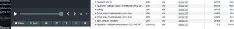 IOS Simulator Stops Working After Few Api Calls While Using Debugging
