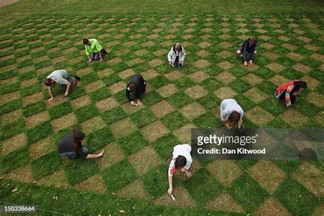 Checker Pattern Grass Photos And Premium High Res Pictures Getty Images Checker Pattern Grass Photos And Premium High Res Pictures Getty Images