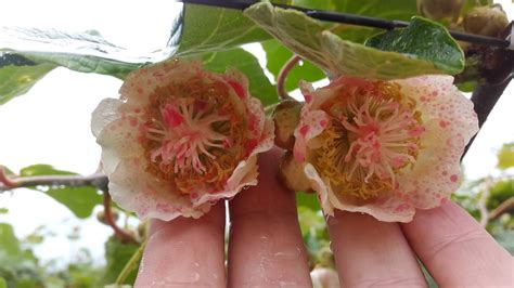 Nergeta And Farmers Added A New Photo Nergeta And Farmers