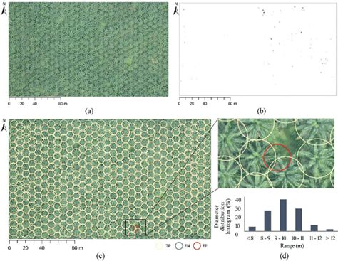 Palm Tree Detection At Validation Site 3 A Original Uav Image B