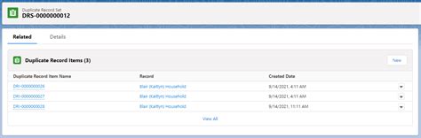 Merging Duplicate Account Records