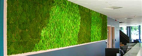 Mossa Och Lav Luwasa Greenstyling Online