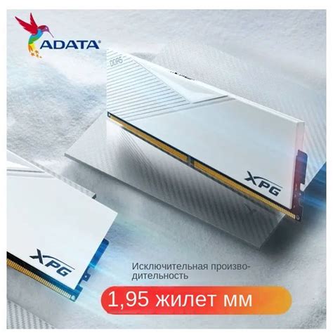 Модуль оперативной памяти Adata Компьютер Xpg Veyronпамятью Ddr5 600016