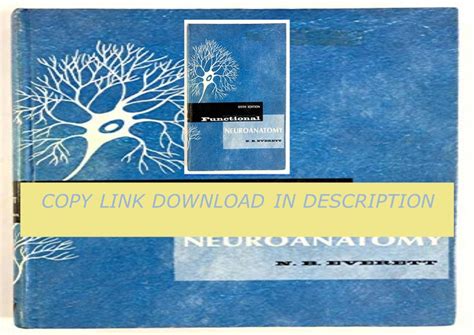 Ppt Download ⚡️pdf⚡️ Functional Neuroanatomy Including An Atlas Of