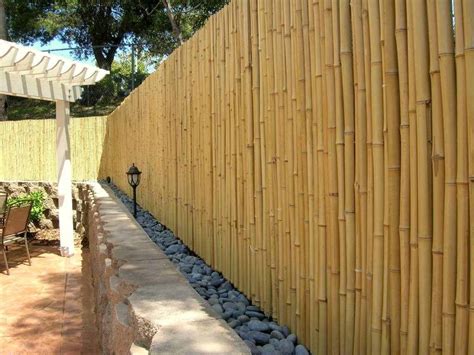 Bamboo Fencing Ideas Stylish And Eco Friendly Garden Fence