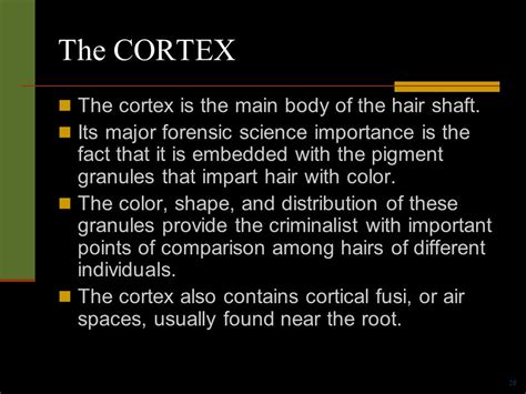 Trace Evidence Hairs Ppt Video Online Download