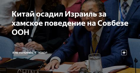 Китай осадил Израиль за хамское поведение на Совбезе ООН Я не украинец я хохол Дзен