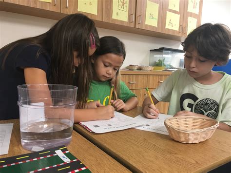 American Montessori Society The Science Of Experimenting In Montessori Environments