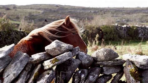 About Michael Faas Michael Faas Photography Aspen Colorado