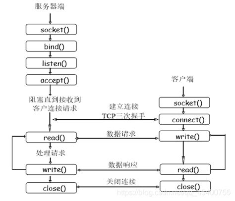 Linux系统编程（网络编程）网络编程和系统编程zoacyf的博客 Csdn博客