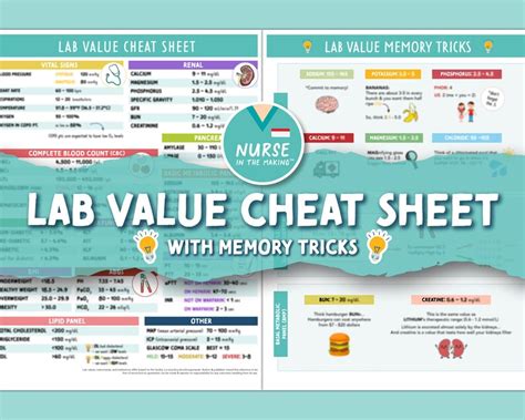 Lab Value Cheat Sheet Memory Tricks Nursing Guides Etsy Norway