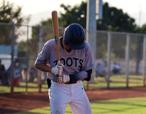 Batting Average Calculator