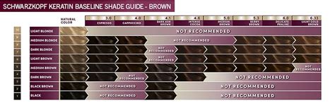 Schwarzkopf Keratin Permanent Hair Dye Cream 53 Berry